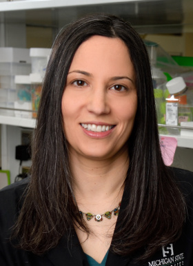 Alison Bernstein, PhD - Department of Neuroscience