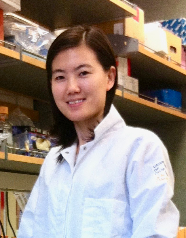 Xiaoying Chen, PhD - Department of Neuroscience