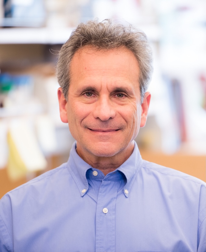 Department of Neuroscience Seminar: John Rubenstein, MD, PhD (UCSF ...